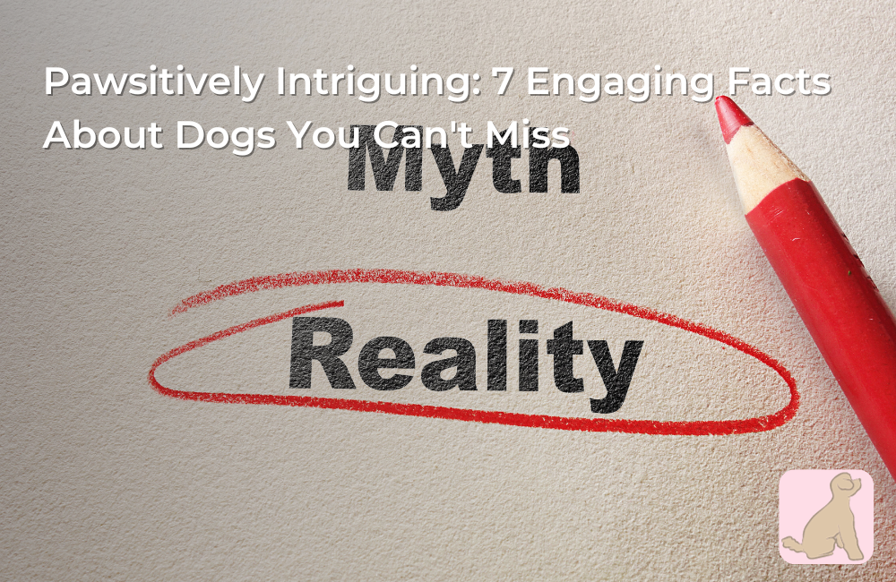Pawsitively Intriguing: 7 Engaging Facts About Dogs You Can't Miss ...