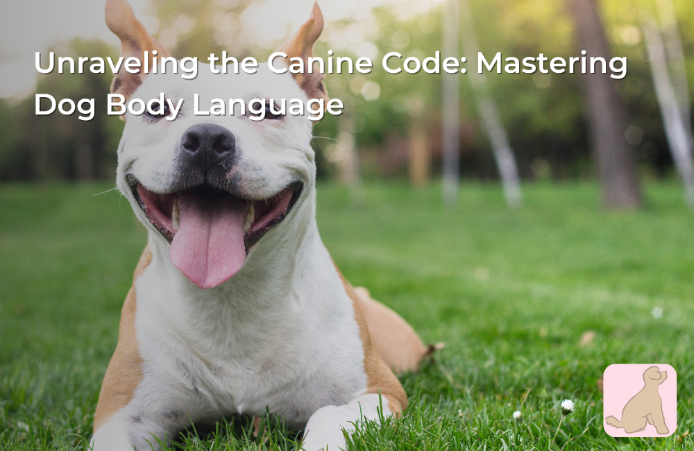 Unraveling the Canine Code: Mastering Dog Body Language – Puppysentials
