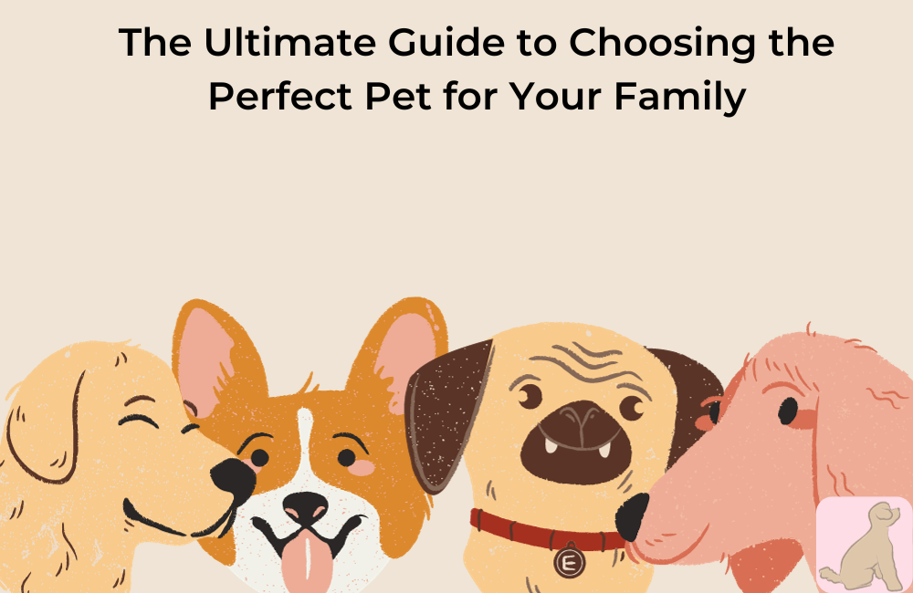 The Ultimate Guide to Choosing the Perfect Pet for Your Family ...