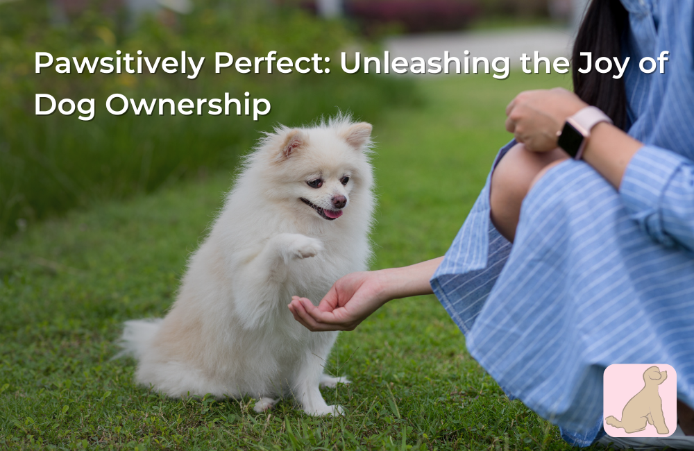 Pawsitively Perfect: Unleashing the Joy of Dog Ownership – Puppysentials