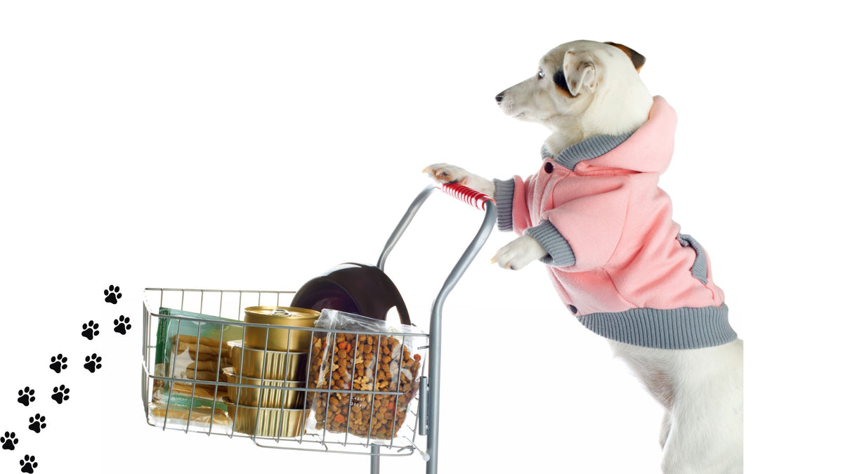 Unleash the Best Black Friday Deals for Dog Lovers – Puppysentials