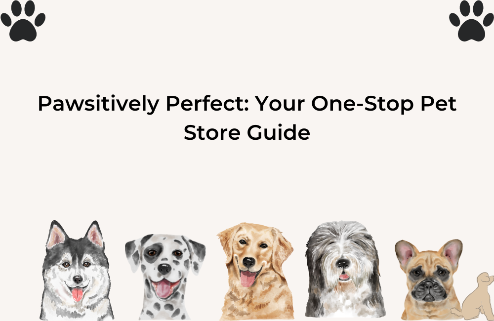 Pawsitively Perfect: Your One-Stop Pet Store Guide – Puppysentials