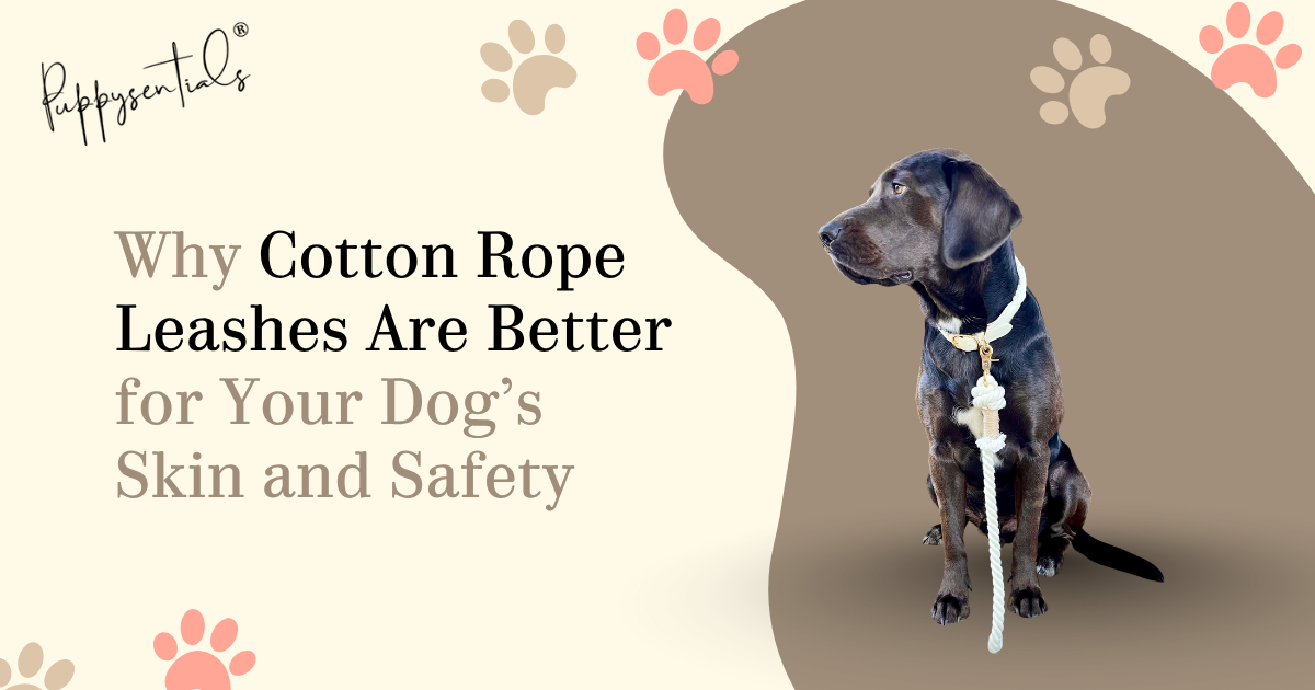 Cotton Rope Dog Leash: Prevent Skin Burns & Improve Control – Puppysentials