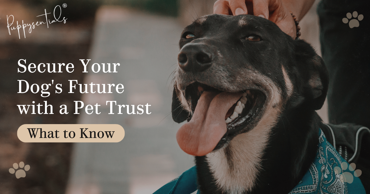 Plan a Pet Trust for Dogs: Secure Their Future Today – Puppysentials